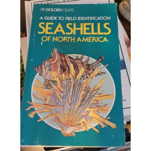 Other | Seashells Of North America A Guide To Field Identification By R ...